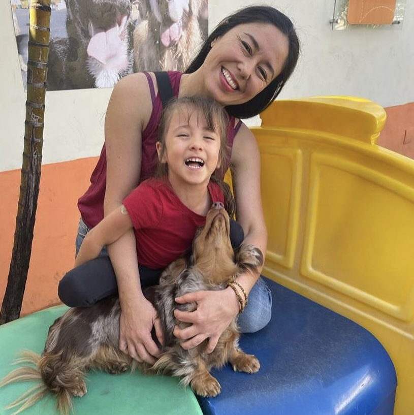 DogResort | Daycare e Creche para Cachorros